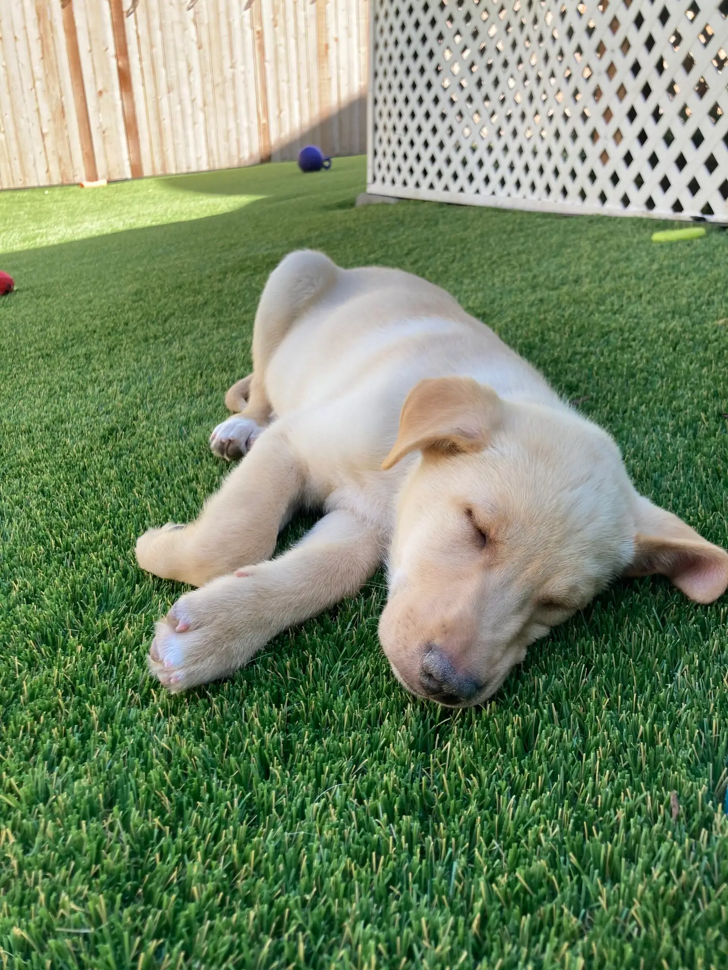 Galleries - Texas Turf & Courts